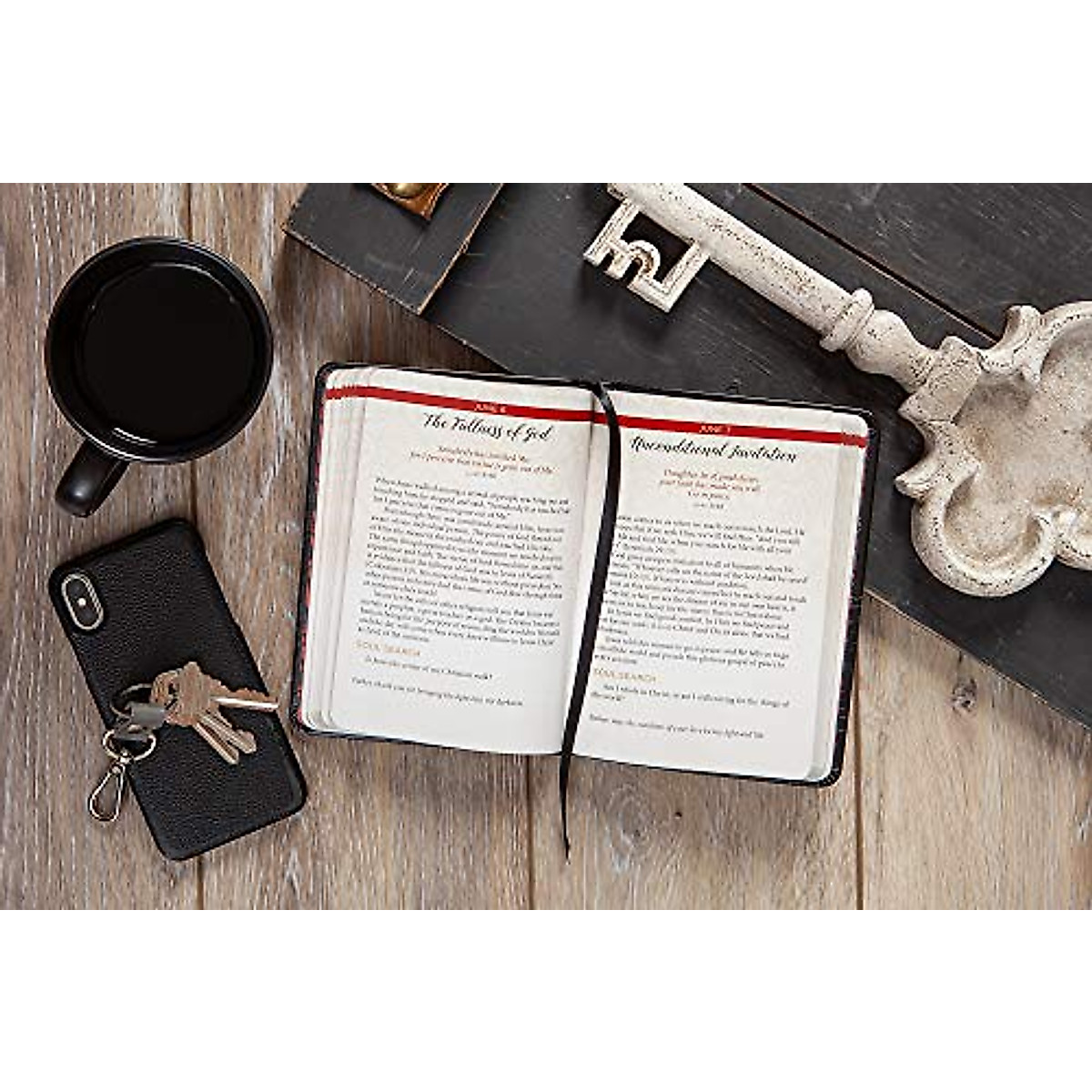 Jesus in Red: 365 Meditations on the Words of Jesus (Imitation Leather) – Daily Motivational Devotions for All Ages, Authored by Ray Comfort, Perfect ... Family, Birthdays, Holidays, and More.