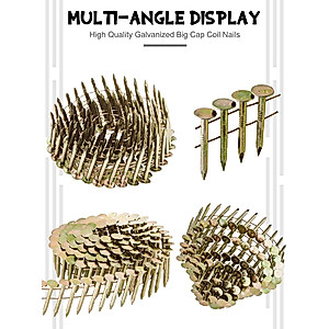 Sadnyy 600 Count Coil Roofing Nails 3/4-1-1/4 in 15 Degree Coil Roofing Nails Stainless Steel Siding Nails with Smooth Ring Shank for Roof Lathing Sheathing Material (3/4 inch x 0.12 inch)