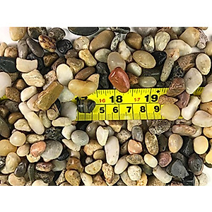 RG() 1 Pack: Polished Mixed Color Stones Small Decorative River Rock Stones 1LBS (Small)