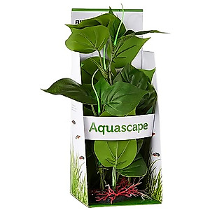 Fluval Anubias Plant for Aquarium, 12-Inch