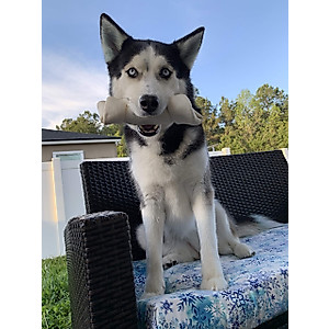 Hotspot Pets 4-5 Inch USDA Certified Facility Rawhide Dog Chew Bones - Choice of 10, 20, 30 Packs - from Grass Fed Brazilian Cows - Promotes Dental Hygiene and Good Behavior (10 Pack)