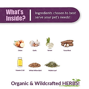 Amber NaturalZ Otaxium Drops Herbal Supplement for Dogs, Cats, Birds, Guinea Pigs, and Rabbits | Pet Herbal Supplement for Ear Health | 1 Fluid Ounce Glass Bottle | Manufactured in The USA