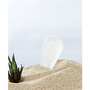 HOMOSUM E26 Frosted LED Edison Bulbs, 6W Equivalent 60W,600LM,AC120V, Soft White 3000K,ST58 Dimmable Antique LED Filament Bulbs with 90+ CRI, Pack of 6 (6W=60W Soft White)