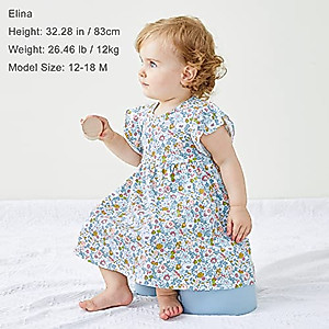 pureborn Baby Girls Ruffled Sleeve Dress Cotton Swing Dress Casual with Headband Bloomer 3-6 Months Floral Blue
