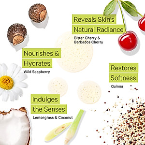 Tree to Tub Bitter Cherry Coconut Exfoliating Body Wash - Gentle Exfoliating Body Scrub for Sensitive Skin - Skin Exfoliator for Body for Women & Men w/Natural Soapberry, Natural Cherry, Organic Rice