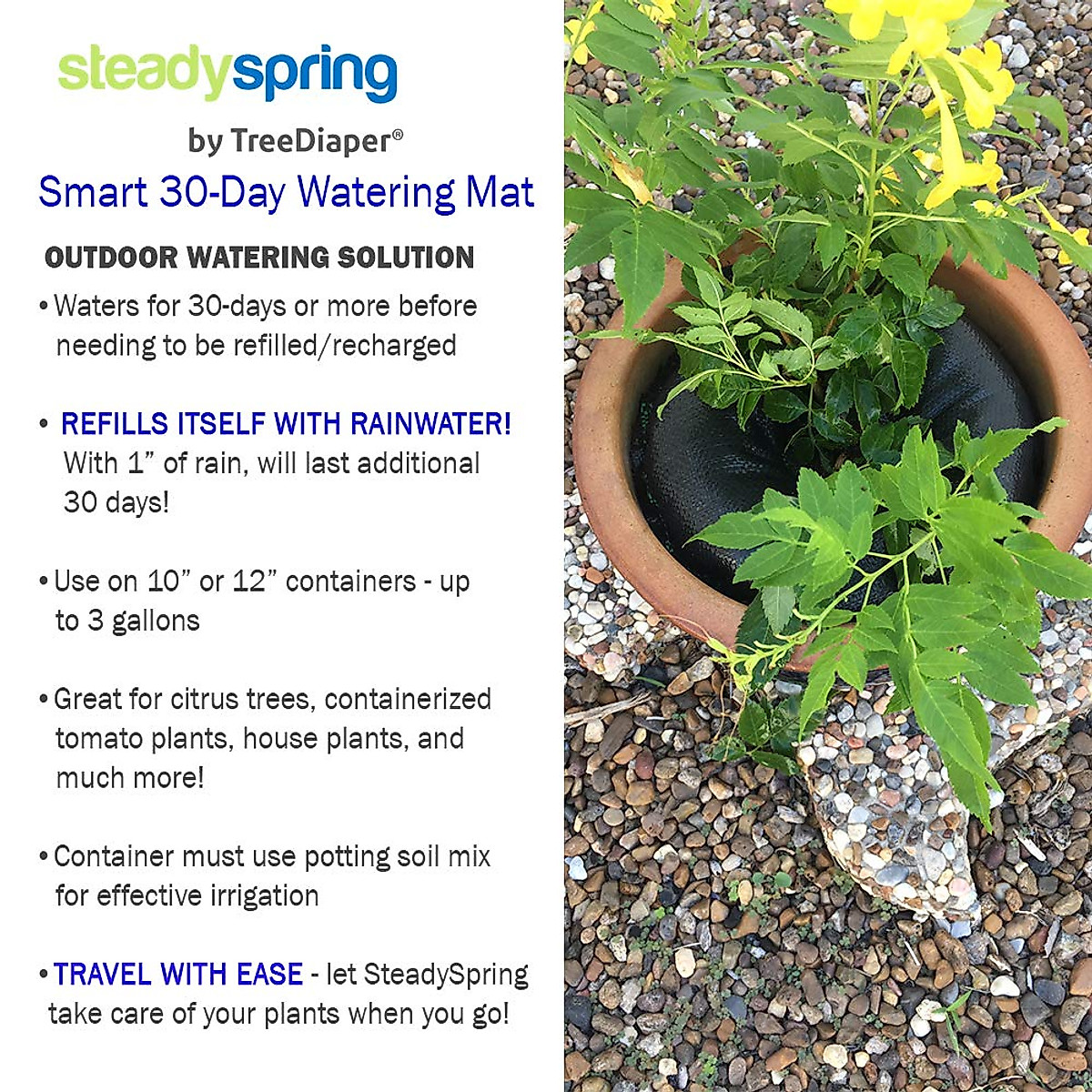 SteadySpring® Smart 30+Day Watering Mat for 10 in to 12 in Containers for Houseplants, Annuals, Herbs, Trees, Tomatoes - Self-Filling, Lasts 30+ Days, Automatic Irrigation Mat (2-Pack)