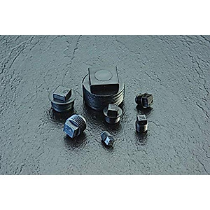 Caplugs TPN-1-F – TPN Series – Square Head Threaded Plugs with Flange, 15 Pack, High-Density Polyethylene (PE-HD), Black, to Plug NPT Thread Size 1/8 – 27, Oil & Heat Tolerant (ZTP1F1KA1)