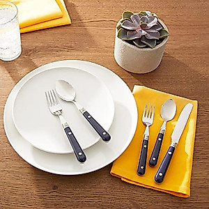 Ginkgo International Le Prix Stainless Steel Dishwasher-safe 30piece flatware set, Service for 6, Navy Blue,22705