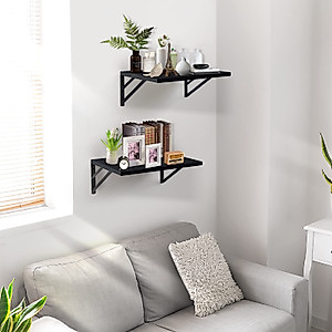 Tectocker-DOU 2 Pc Deep Floating Shelves ; 12 Inch Deep Wall Mounted Hanging Shelves for Living Room, Kitchen, Office, Bathroom and Bedroom Decor; Storage and Display Shelf Set (Black)