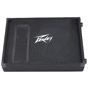 Peavey PV 15M 2-Way Floor Monitor