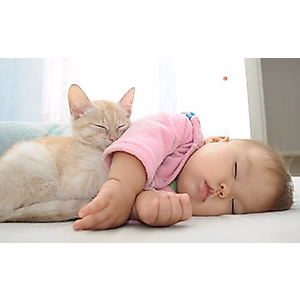 Babies Love Kittens: A Lift-a-Flap Board Book for Babies and Toddlers