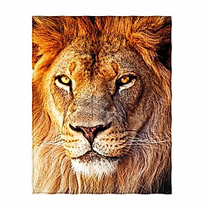 QH Lion Printing Velvet Plush Throw Blanket Comfort Design Home Decoration Fleece Blanket Perfect for Couch Sofa or Travelling 58" x 80" (2)