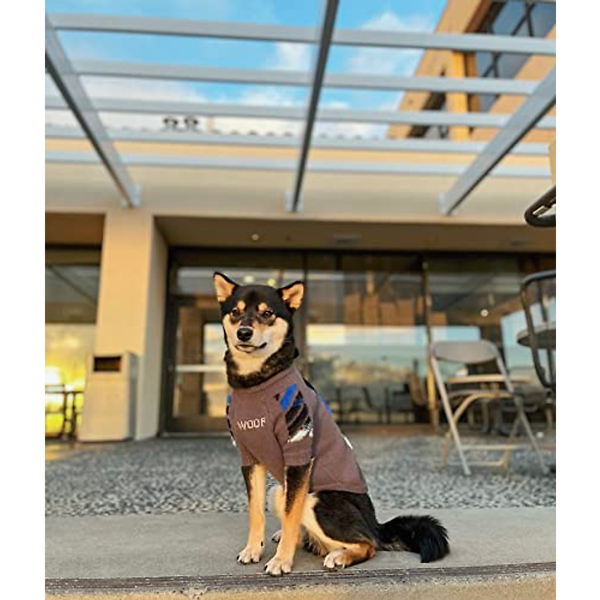 ChoChoCho Woof Knit Dog Sweater, Fashion Design Thermal Knitted Dog Sweaters for Dogs Puppy Small Medium Large, Warm Doggy Sweater Winter Clothes (Blue/Grey, 5XL)