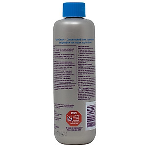 Leisure Time H Foam Down Spa and Hot Tub Clarifier, 16 fl oz