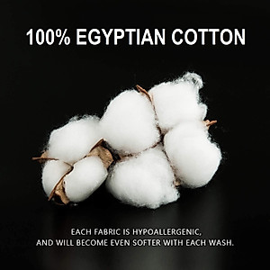 Queen Pillow Shams Set of 2 Pinch Pleated White Pillow Shams Queen Size 20x30 Pillow Covers 100% Egyptian Cotton 600 TC Soft Skin Friendly Cushion Cover Cases Decorative Pillow Shams for Bed