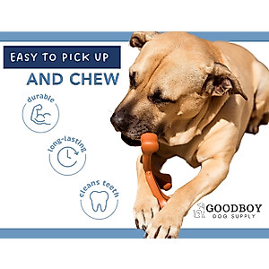 Peanut Butter & Bacon Flavored Dog Chew Toy for Aggressive Chewers - Tough Dog Bone - Heavy Duty and Durable Dog Toy - Nylon Bone Chew Toy for Medium Dogs and Large Dogs