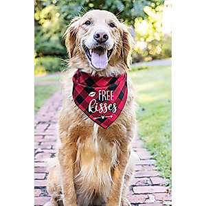 Ptzizi Funny Red Plaid Cotton Valentine's Day Triangle Dog Bandana, Small Medium Large Boys Girls Pet Dog Valentine's Day Wedding Holiday Party Decorations Scarf Bibs Gifts for Pet Dog Lovers