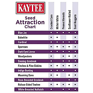 Kaytee Seed & Suet No Mess Blend Blueberry Flavor 10 Pounds