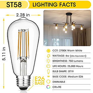 Gozelux Vintage LED Edison Bulbs 6W, Equivalent 60W Incandescent, Warm White 2700K, ST58 Antique LED Filament Bulbs with 90+ CRI, E26 Medium Base,Dimmable, Clear Glass, Pack of 6