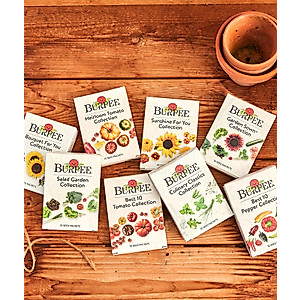 Burpee Salad Garden Collection 10 Packets of Non-GMO 4 Lettuce Varieties Tomato, Radish, Spinach, Kale, Scallions & Mesclun Mix | Seeds for Planting Vegetables