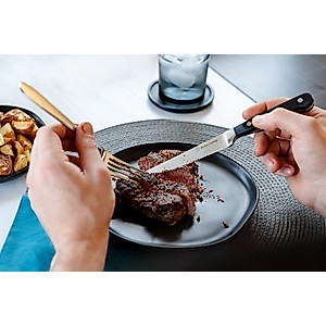 DURA LIVING Premium 4-Piece Steak Knife Set – Sharp Serrated Blades, Forged High Carbon Stainless Steel, Full Tang, Ergonomic Handle, Royal Blue – Ideal for Dining & Entertaining