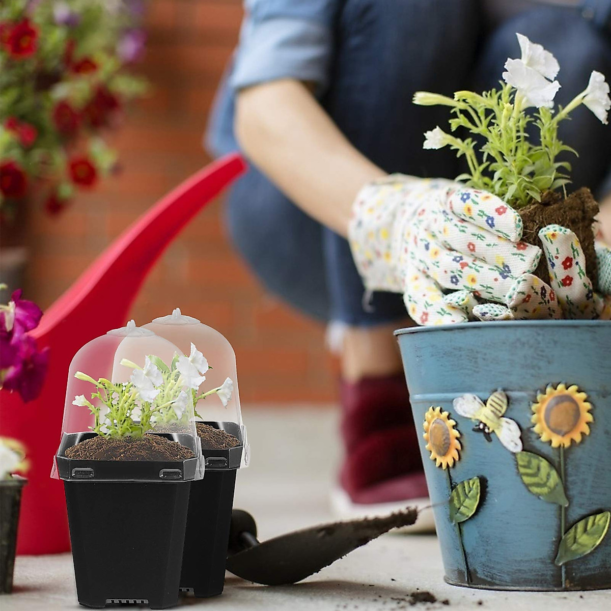 GANAZONO Plant Propagation Plant Propagation 12 Sets of Plastic Nursery Pots with Humidity Dome Flower Plant Container Starting Pot Cup for Flower Clear Pot Outdoor