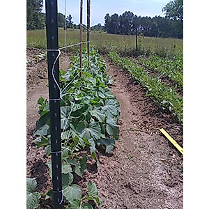 IRRIGATION-MART 6300FT Tomato Tying Garden Twine