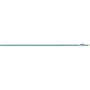 Easton Genesis V2 Arrows with 3" Vanes (6 Pack), 1820, Teal