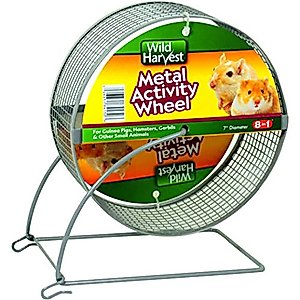 Wild Harvest 7 inch Metal Pet Activity Wheel For guinea pigs, hamsters, gerbils and other small animals