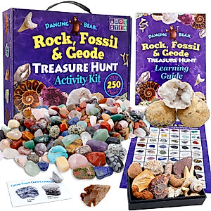 DANCING BEAR Rock, Mineral & Geodes Treasure Hunt Activity Kit (250 Pc Set) Real Shark Teeth Fossils, ID Sheet & Rock Book, STEM