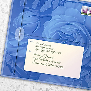 Freshcut Paper Pop Up Cards, Paper Flower Bouquet 3D Popup Greeting Cards with Note Card & Envelope, Birthday Card, Anniversary Card, Get Well Gifts for Women, 12" Sorbet Roses