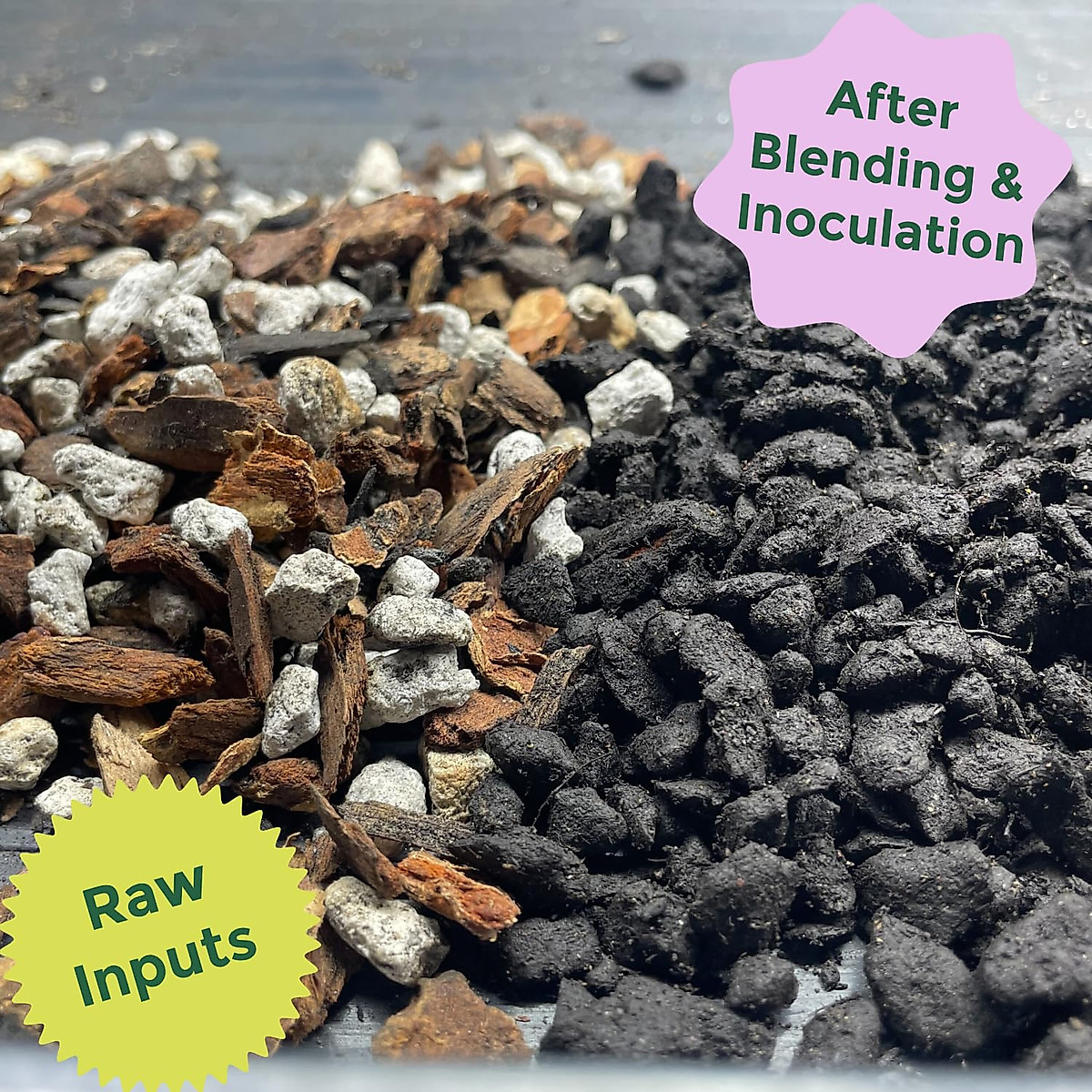 Cactus and Succulent Organic Potting Soil Mix for House Plants - Fast Draining, Root Boosting, Peat-Free Soil for Drought Tolerant Growth of Aloe Vera, Cacti and Indoor Succulents Plants - 4 qt