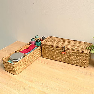 FEILANDUO Seagrass Storage Basket with Lid Hand Woven Wicker Shelf Baskets Rectangular Small Storage Box for Desktop Organizing (Natural 3 Sections with Lid)