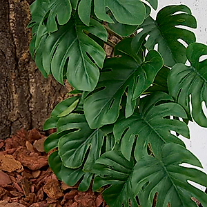 WOLEDOE Reptile Plants for Terrarium, Amphibian Habitat Decor Artificial Hanging Plants with Suction Cup - Fake Monstera