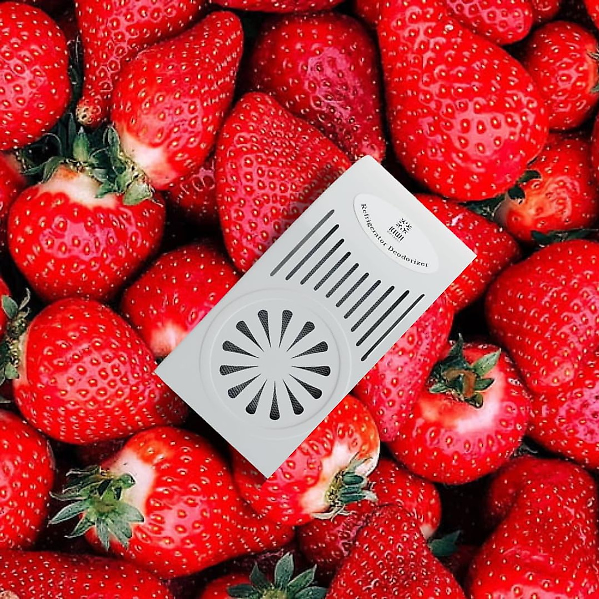 Kiwi Wellness Refrigerator Deodorizer and Odor Absorber, Eliminates Odors in Refrigerators & Freezers. Keeps your Produce Fresh (3 PACK).