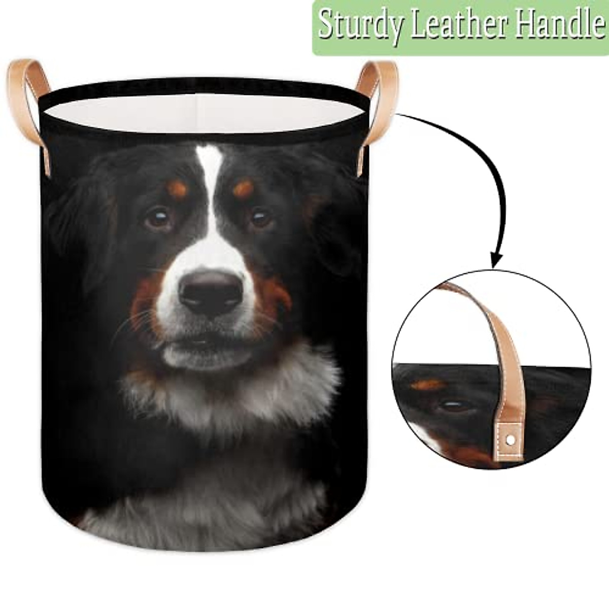 Bernese Mountain Dog Animals Collapsible Laundry Basket Large Laundry Hamper Waterproof Foldable Storage Bins Laundry Basket with Leather Handles Clothes Nursery Hampers for Bathroom Bedroom Toy Organizer
