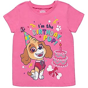Paw Patrol Skye Birthday Toddler Girls T-Shirt Pink 4T