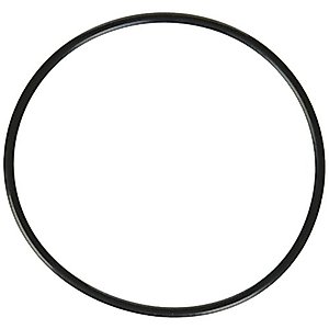 Everpure EVERPURE-EV3071-19 4 inch Water Filter O-Ring