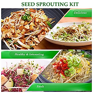 EOUOBOMO Sprouting Kit,Sprouting Jar Kit,Sprouts Growing Kit w.Wide Mouth Mason Jar,316 Screen Lid, Stand,Tray and Blackout Sleeves,Seed Sprouting Kit for Growing Broccoli, Alfalfa