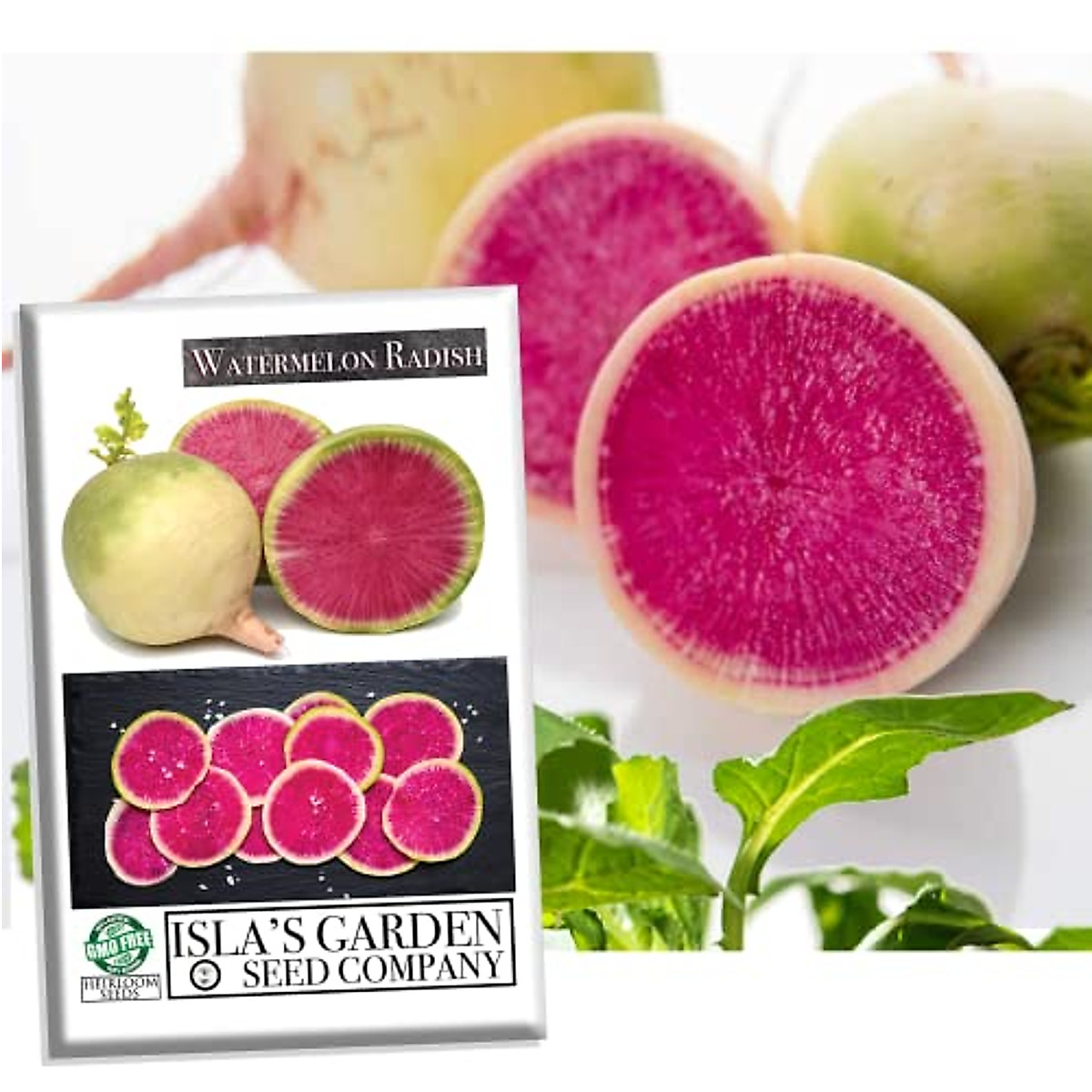 Watermelon Radish Seeds for Planting, 120+ Heirloom Seeds Per Packet, (Isla's Garden Seeds), Non GMO Seeds, Botanical Name: Raphanus sativus acanthiformis, Great Home Garden Gift
