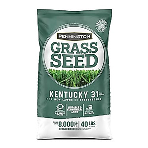 Pennington Kentucky 31 Tall Fescue Penkoted Grass Seed 40 lbs