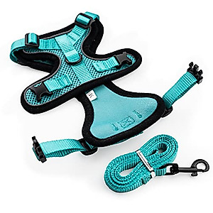 Mewo Cat Harness and Leash - Escape Proof, Soft, Comfortable, Reflective, & Adjustable, for a Safe & Snug Fit (Aqua Marine, Small)
