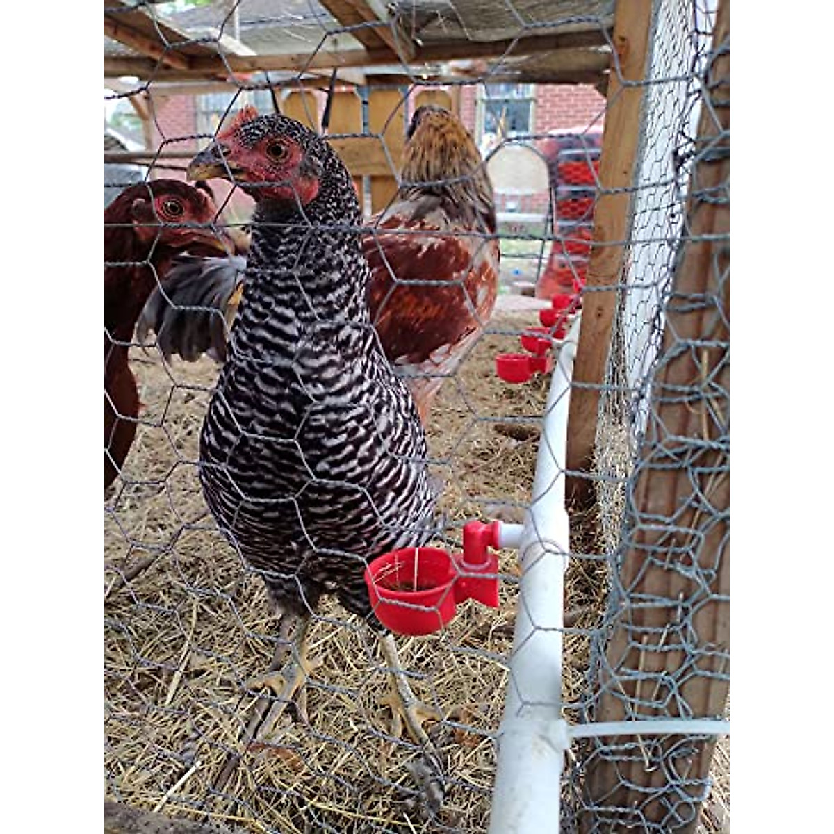 letsFix Chicken Water Cups for PVC with Tee, Automatic Waterer Kit for Poultry, DIY PVC Water Feeder for Chicken/Duck/Quail/Turkey, Chicken Waterer [8 Pack]