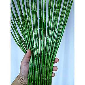 OKUOKA Beaded Door Curtains for Doorways Wood Bead String Curtain for Room Dividers Green Home Restaurant Hanging Screen Decoration Hanging -29/33/40/45/59/87 Strands (Size : 29 Strands-0