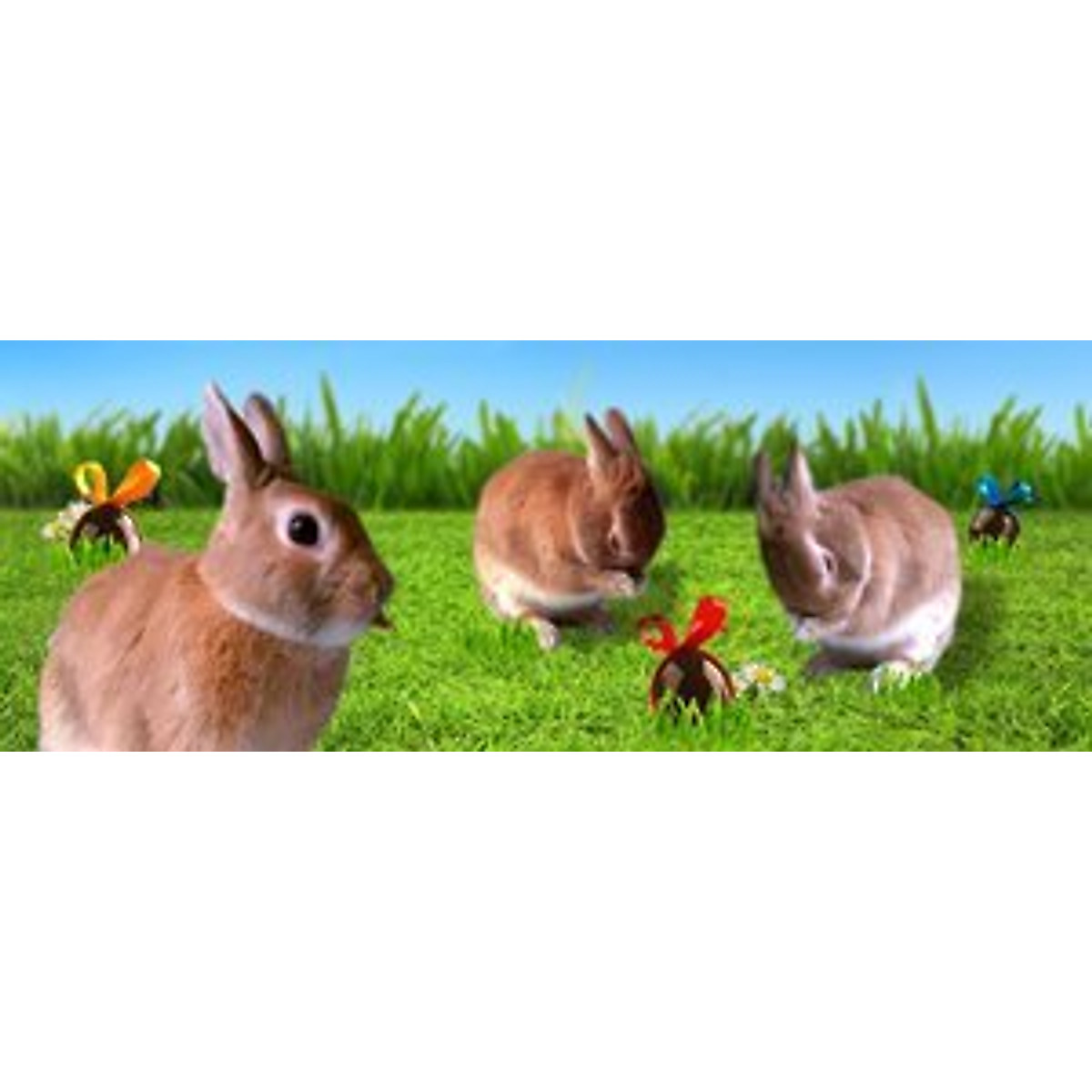 Animated Easter Rabbits Bookmark By Emotion Gallery