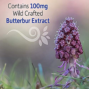 Garden of Life Sinus Care for Adults, Herbal Immune Balance Sinus Natural Support for Sinus Health, 100 mg Butterbur, Bromelain, Vitamin C, D3, Probiotics, Sinus Relief Supplements, 60 Capsules