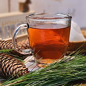 Organic Pine Needles for Tea | FRESH NOT DRIED | Maxwell Creek Farm | Loose Needles | Immune Boosting | Includes Trial Custom Blend Pine Needle Tea Bag! (2 Ounce Trial)