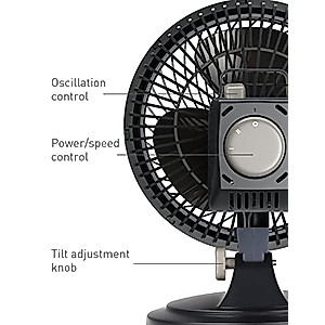 HOLMES BLIZZARD 7" Table Fan, 2 Speeds, 3 Blades, 85° Oscillation, 20° Adjustable Head, Home, Bedroom and Office, Charcoal Matte