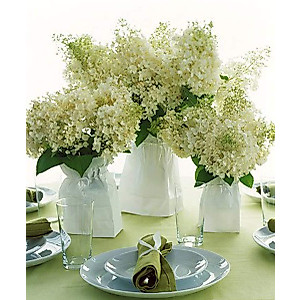 Self-Standing Plain White Paper Lunch Bags (100pk) 5-1/8 x 3-1/8 x 10-5/8 - Birthdays, Weddings, Bar or Bat Mitzvahs, Party Favor Bags, School Projects - Goodie Treat Bags - Includes Free Recipe Ebook