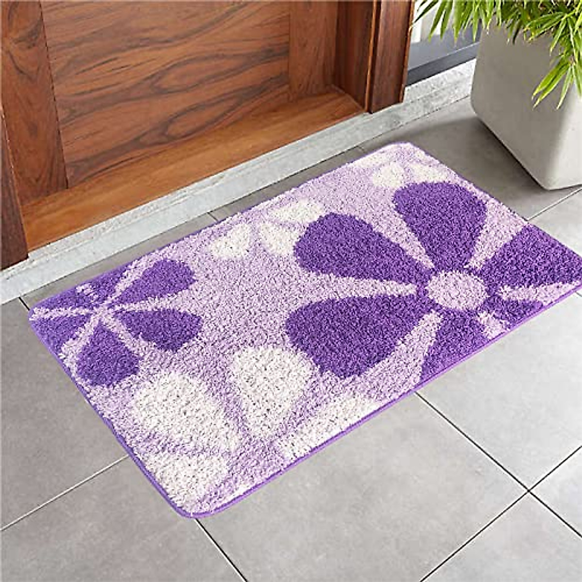 Heeneeso F24 Entryway Rug Welcome Mat Front Door Mats for Inside Entry Indoor Door Mat Machine Washable Non Slip for Doorway/Kitchen/Bathroom/Laundry Room